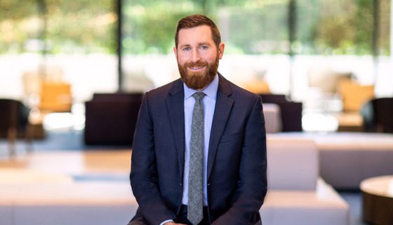 Michael C. Landman - Bird Marella