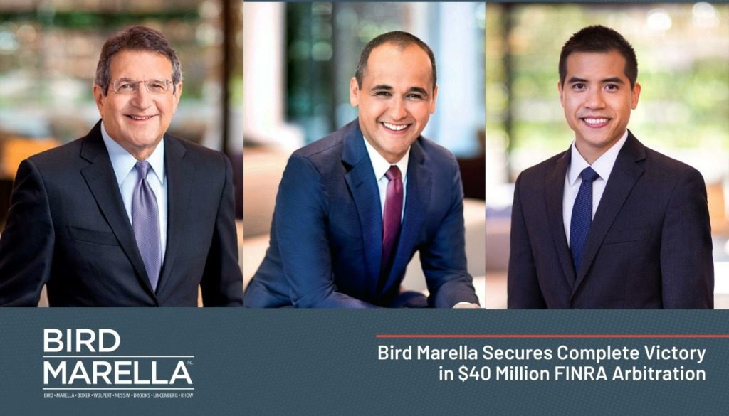 Securities Litigation - Bird Marella