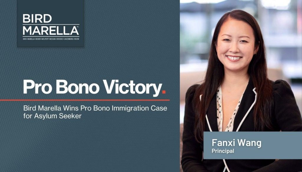 Pro Bono Practice - Bird Marella