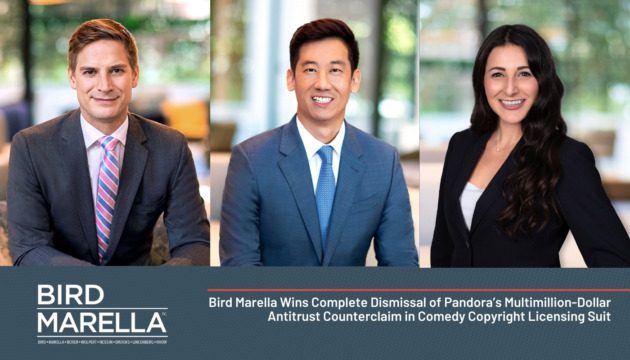 Intellectual Property - Bird Marella