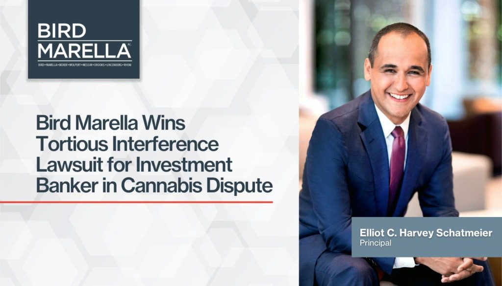 Complex Business Litigation - Bird Marella